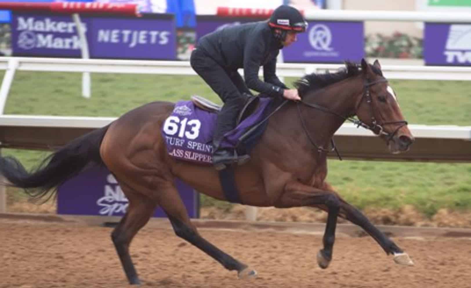 2025ブリーダーズカップターフスプリントで注目の競走馬とおすすめブックメーカーまとめ