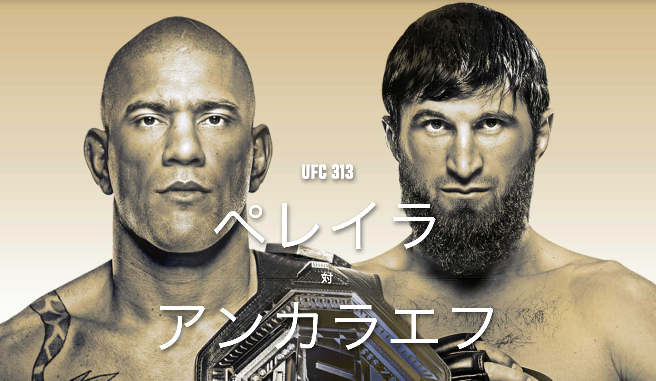 UFC 313の対戦カードとおすすめブックメーカーまとめ